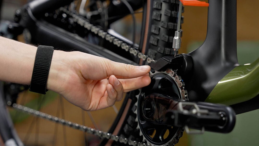 Neuron CF support | CANYON US