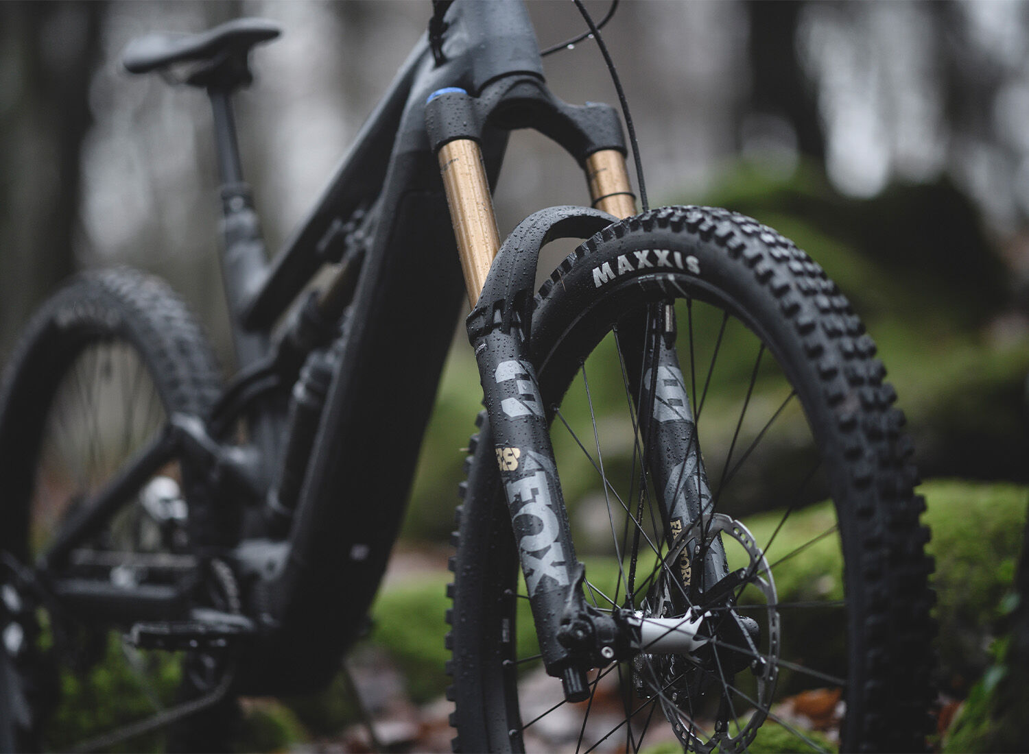 Torque:ON AL | CANYON US Torque:ON AL | CANYON US