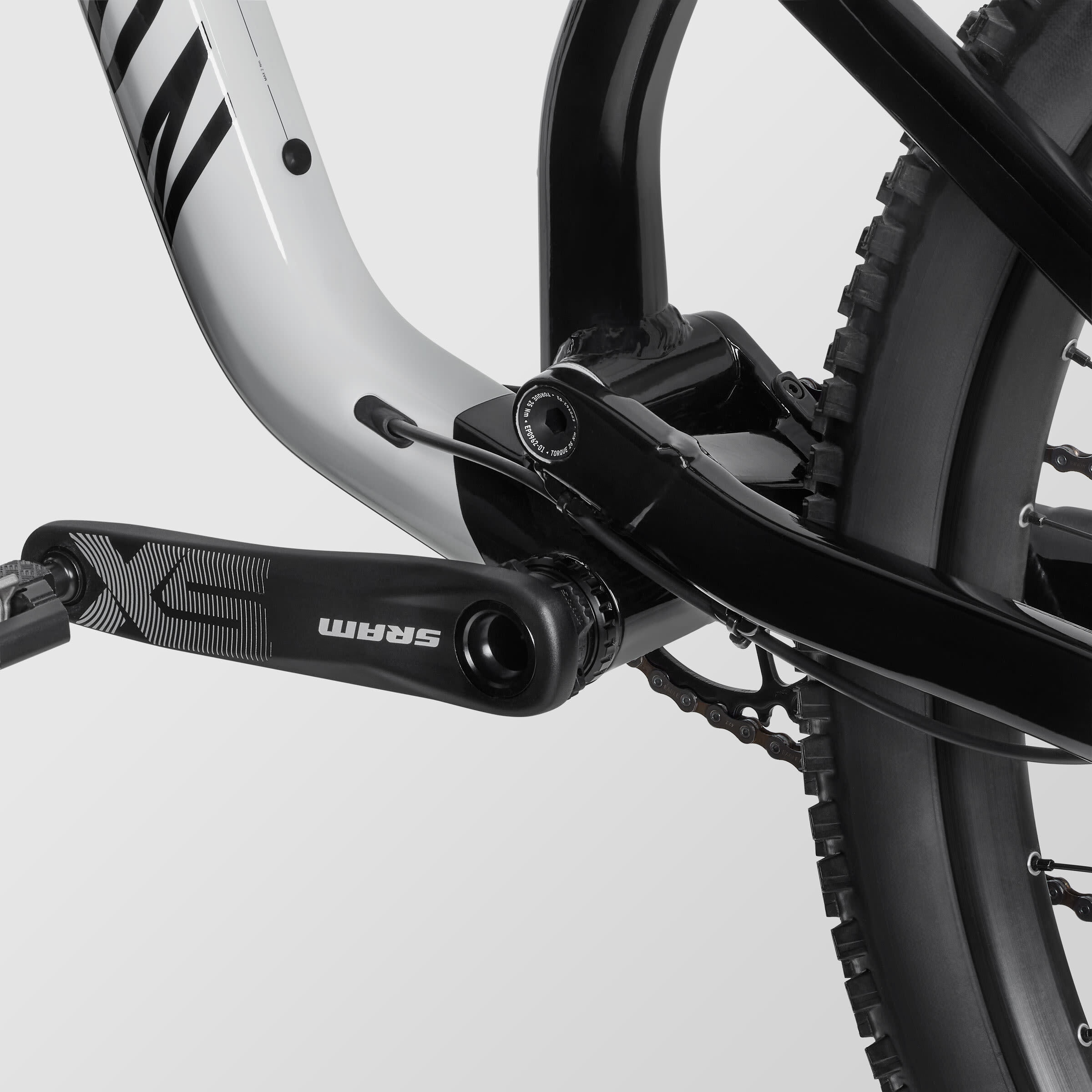 Neuron 5 | CANYON US