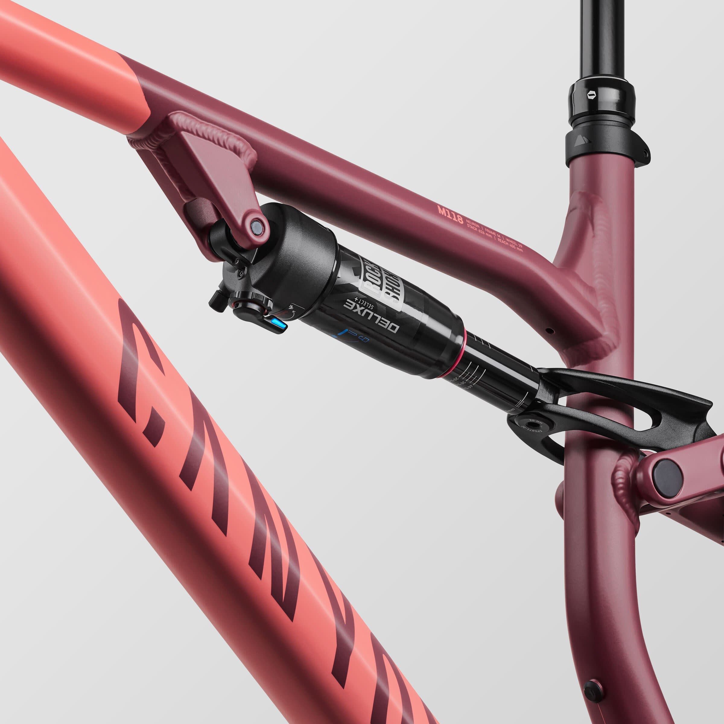 Neuron 5 | CANYON US