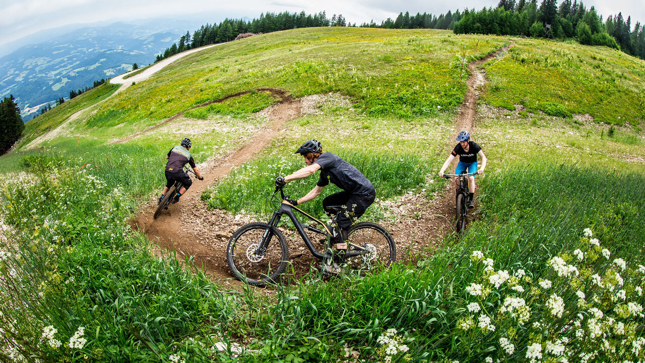 Large Mountain Bikes | Buy Online | CANYON US