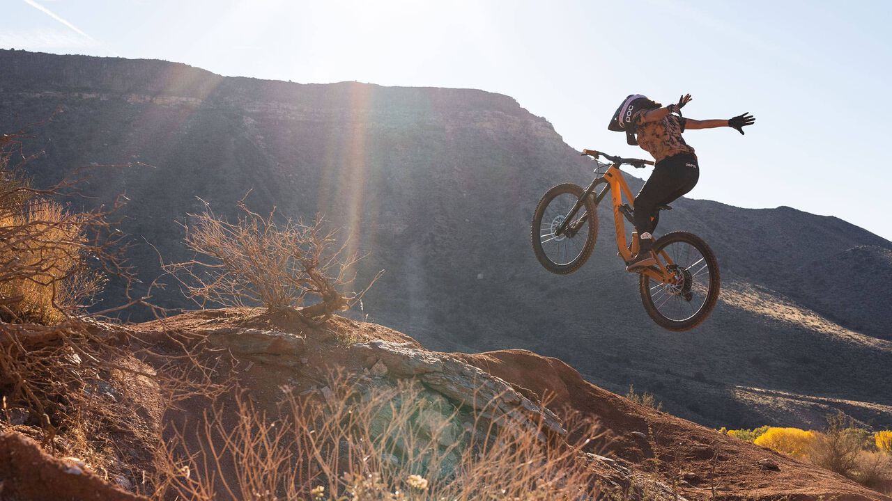 27.5 Downhill Bike | CANYON AE