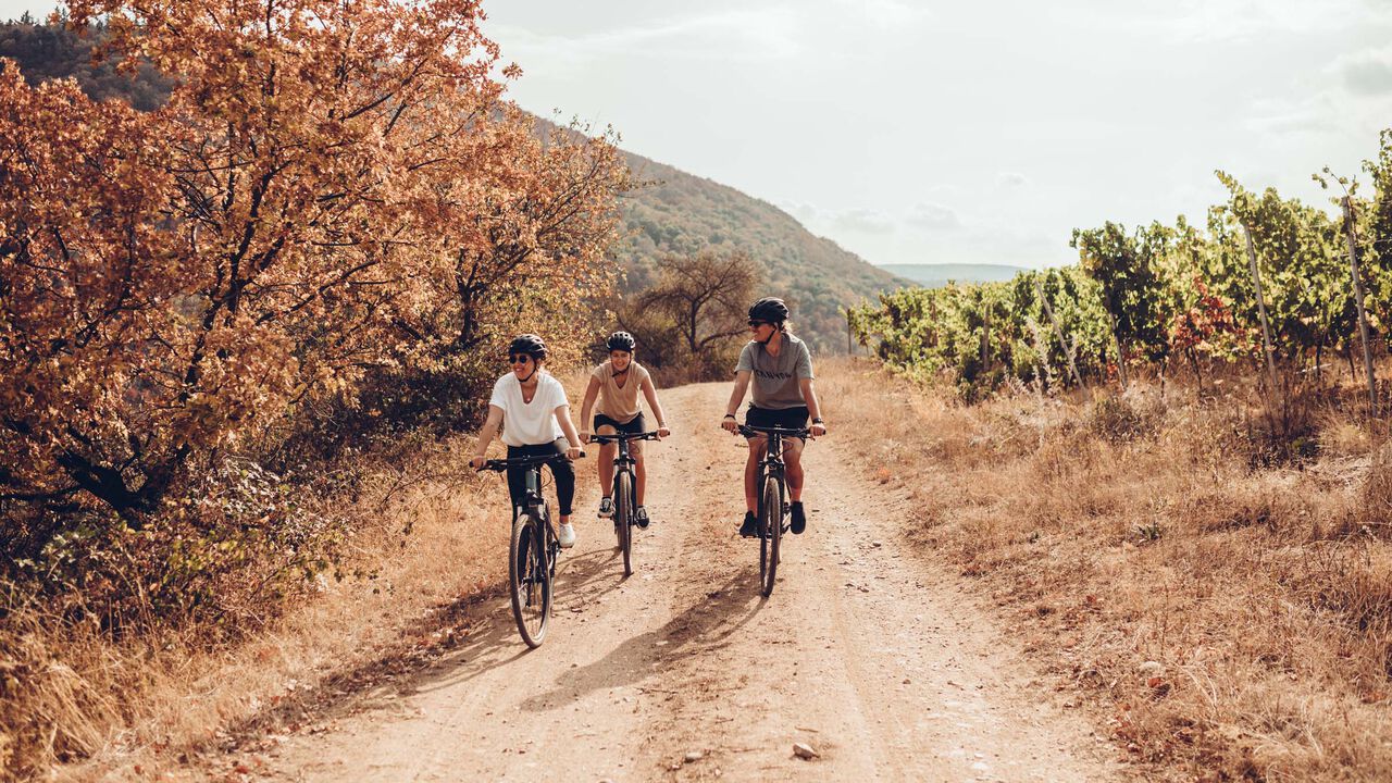 Touringcykler på nettet | CANYON DK