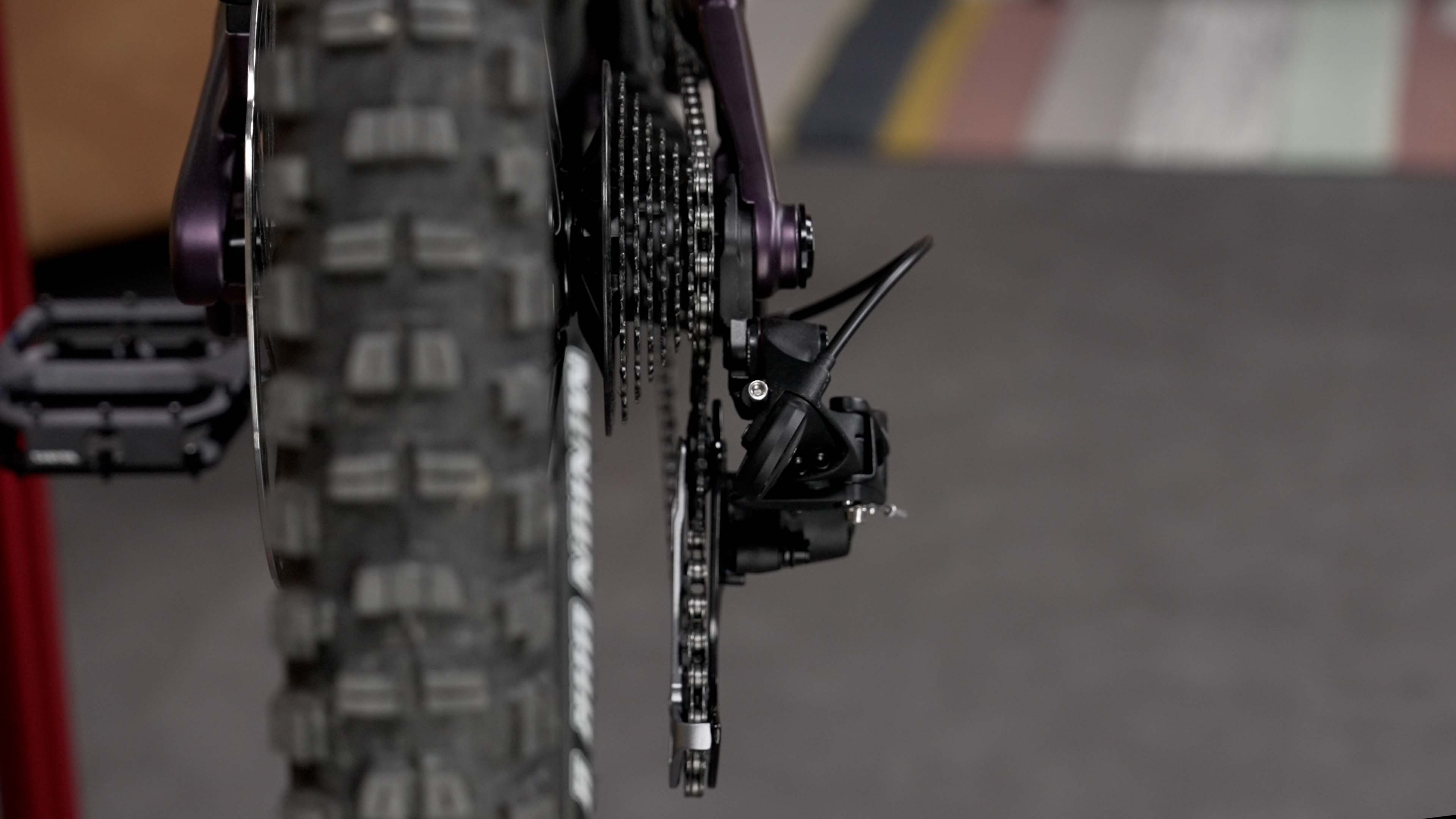 Neuron CF support | CANYON US