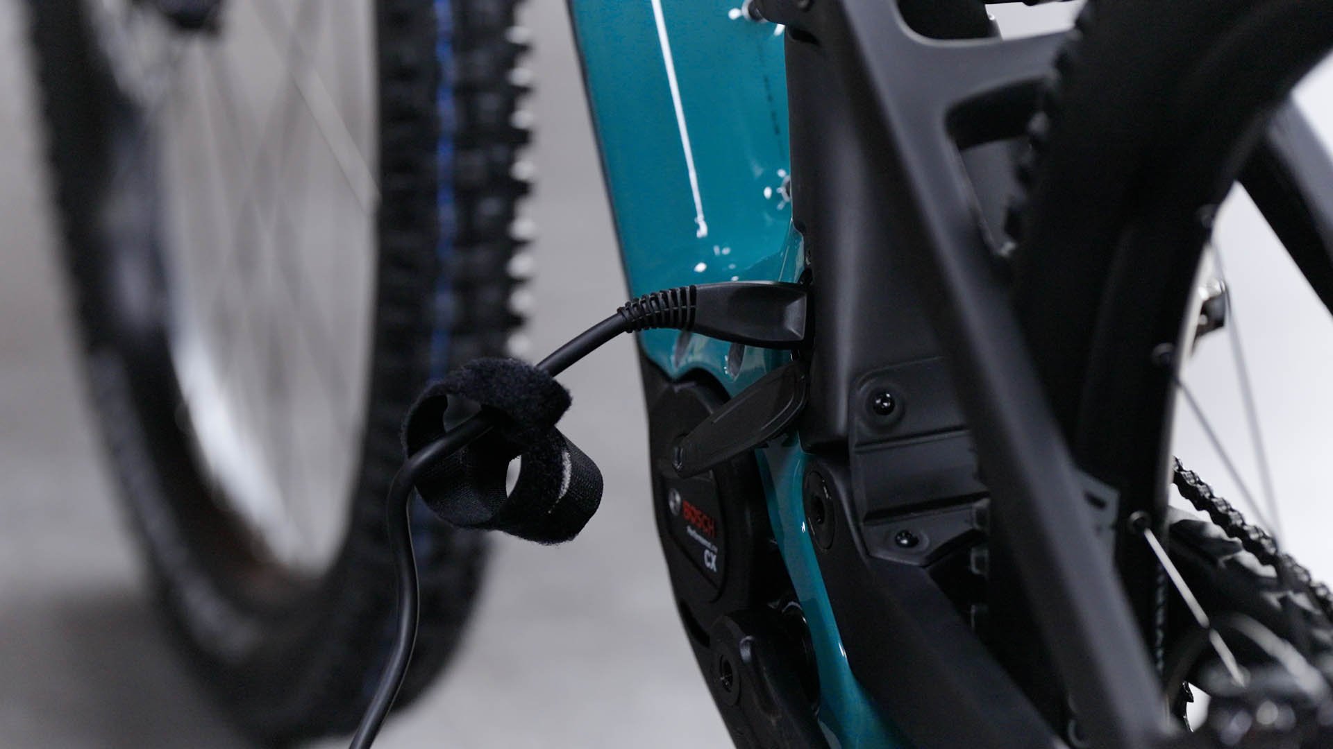 Neuron:ON CF support | CANYON GB