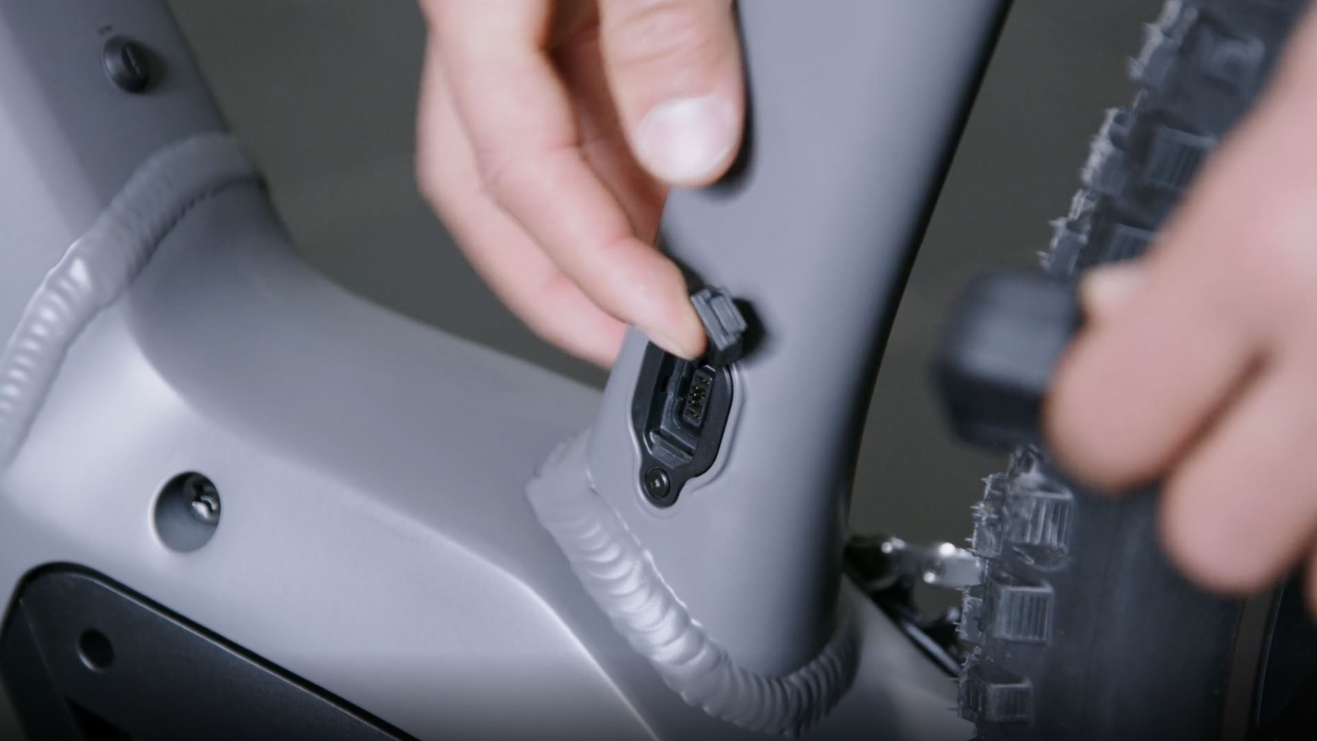 Grand Canyon:ON 2021-2022 support | CANYON CH