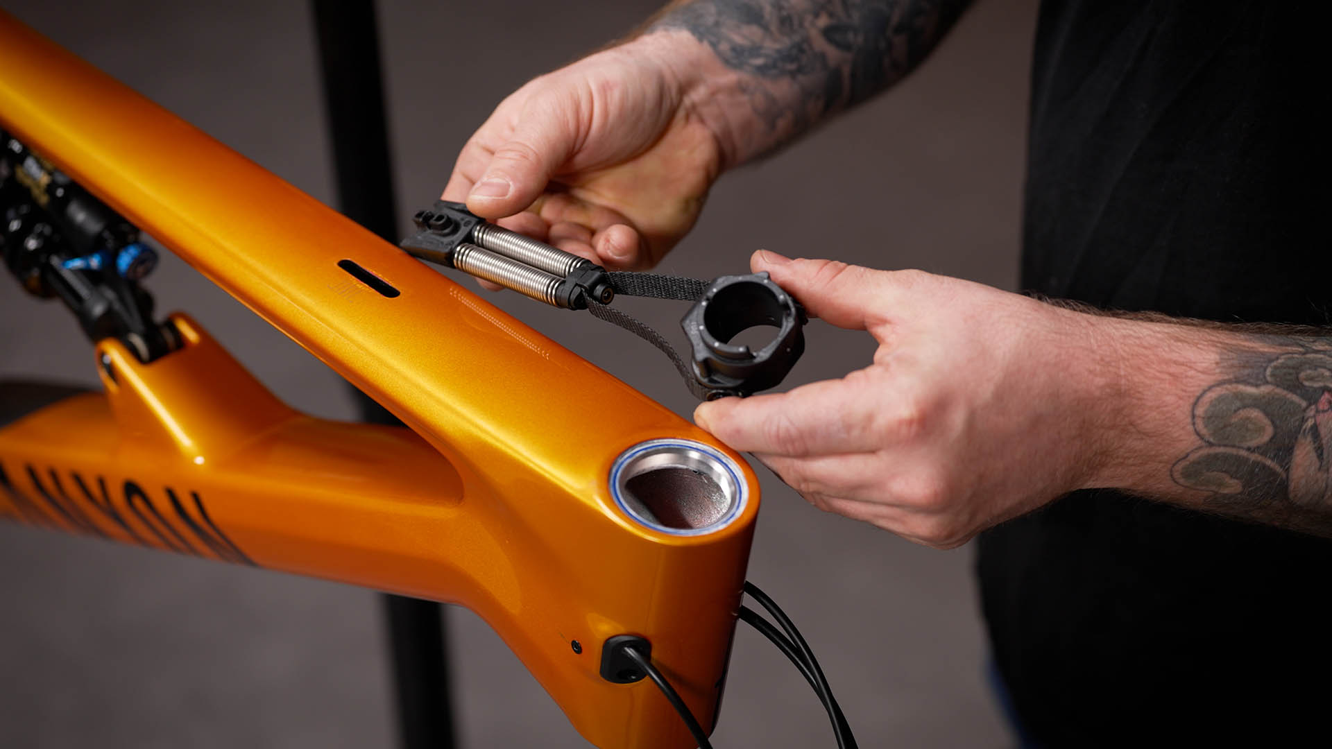 Spectral CF support | CANYON GB