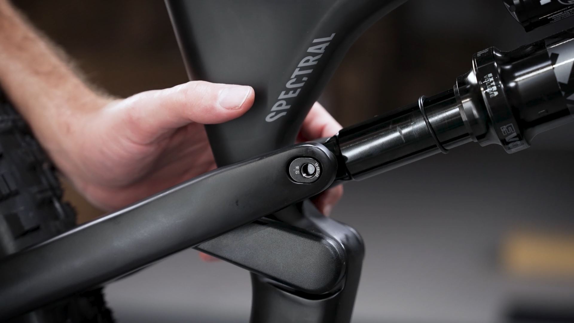 Spectral 2020 - 2024 Support | CANYON DE